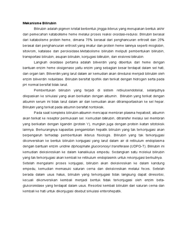 Mekanisme Bilirubin | PDF