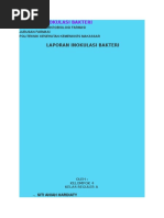 Teknik Inokulasi Bakteri pada Media | PDF