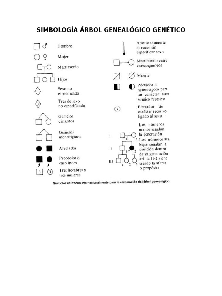 Simbología Árbol Genealógico Genético | PDF