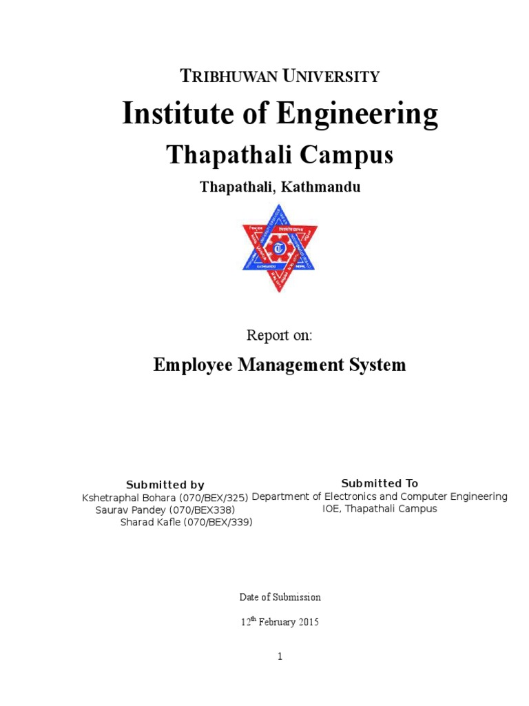 Employee Management System Report | PDF | Object Oriented Programming | C++