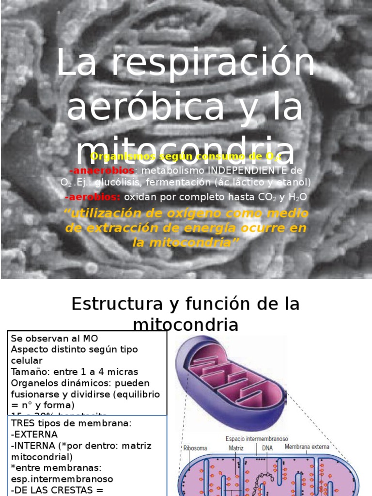 Capítulo 5 Karp | PDF