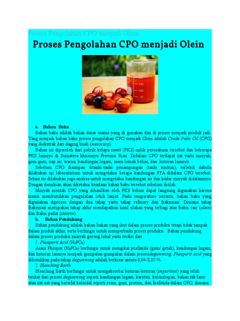 Proses CPO Menjadi Olein: Tahapan dan Bahan | PDF