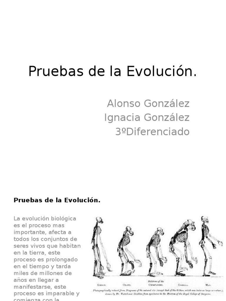Pruebas de la Evolución Biológica | PDF | Evolución | Especies