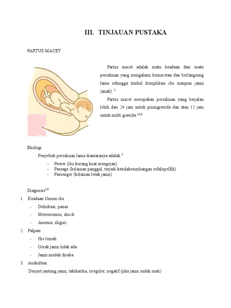Partus Macet | PDF