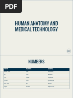 Anatomical Prefixes | PDF