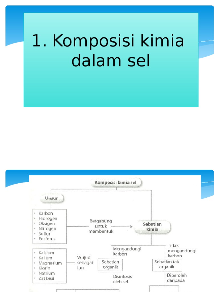 Komposisi Kimia Dalam Sel | PDF