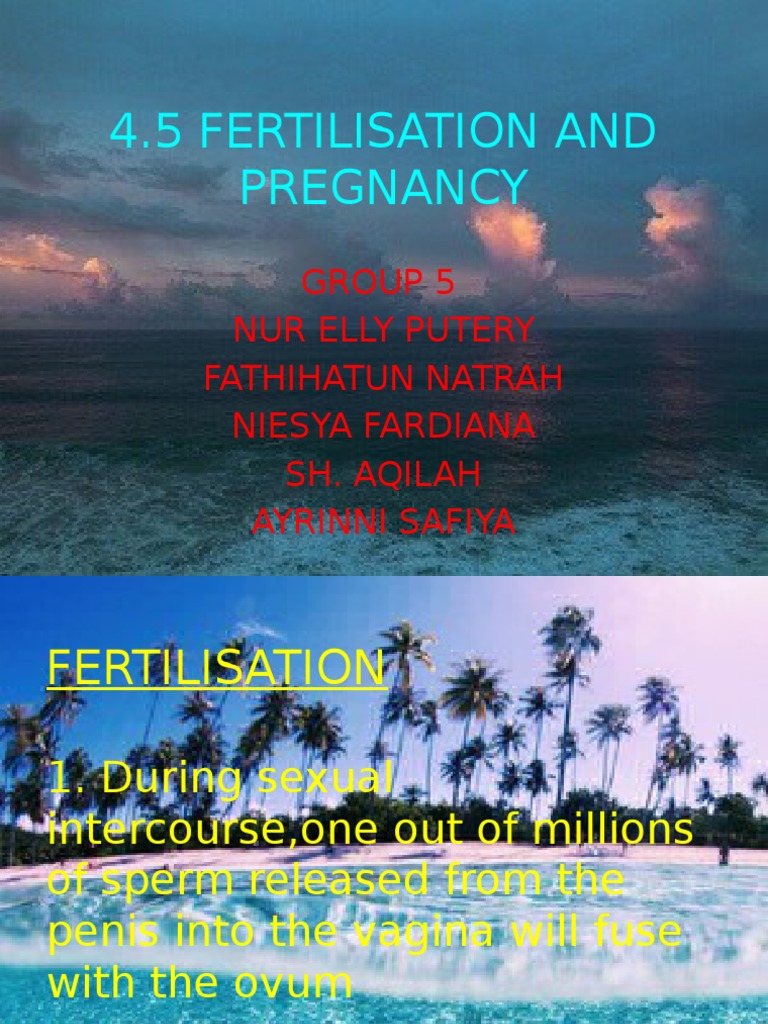 Fertilisation & Pregnancy Guide | PDF | Fertilisation | Placenta