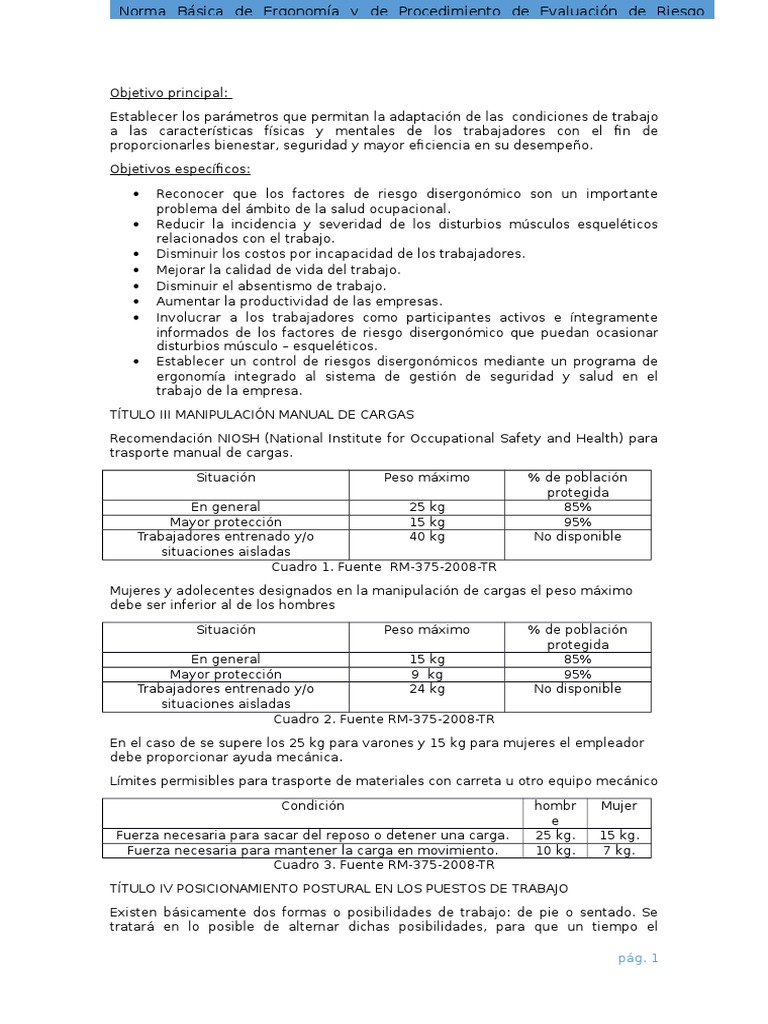 Informe Norma Básica de Ergonomía y de Procedimiento de Evaluación de Riesgo Disergonómico RM N ...