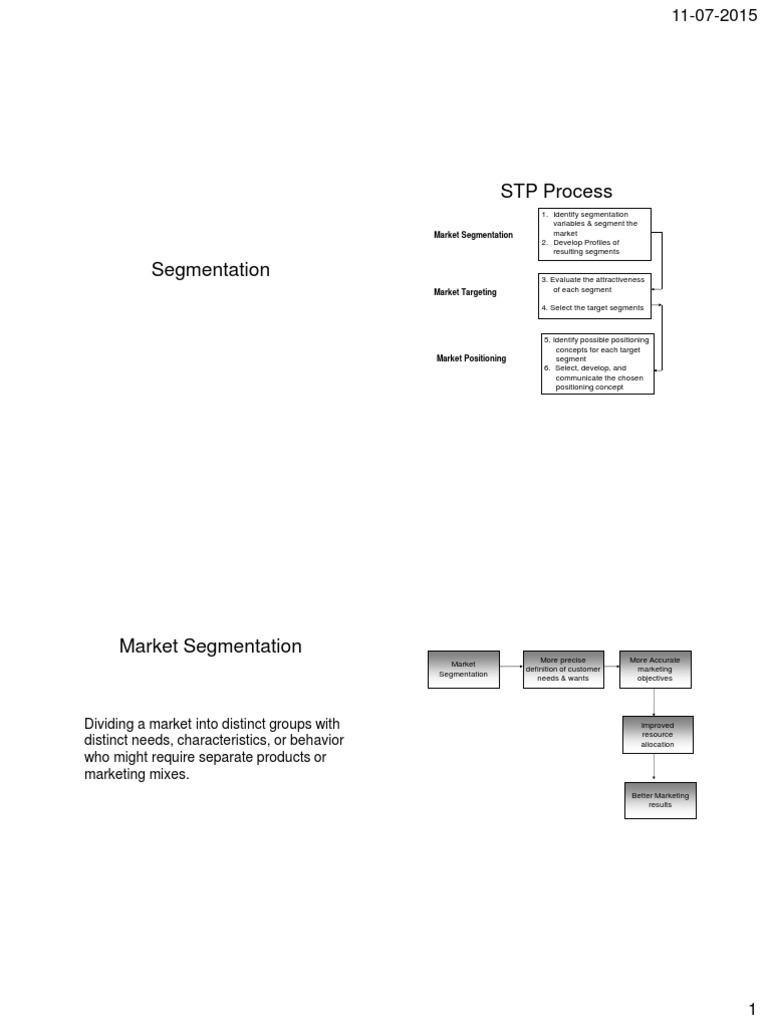 STP Process | PDF | Market Segmentation | Business Economics