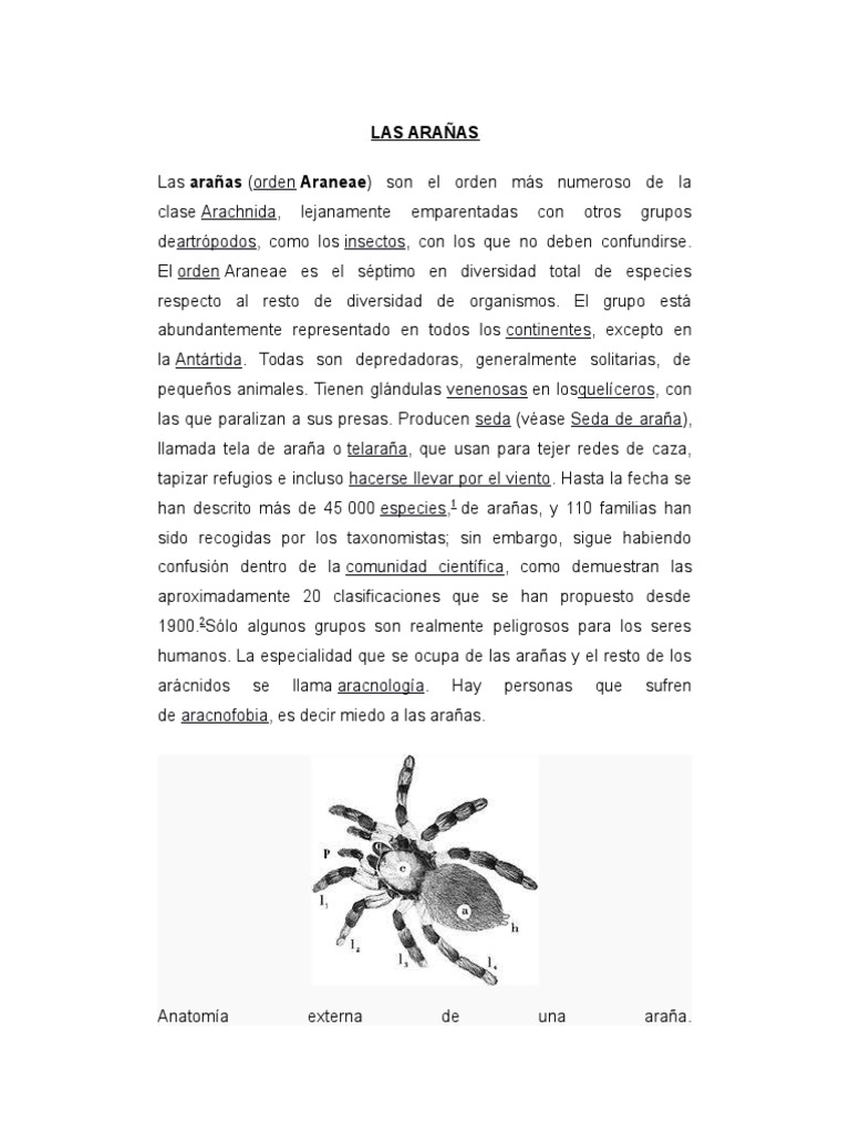 Anatomía y características de las arañas | PDF | Araña | Arácnidos
