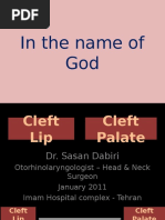 Cheiloplasty and Palatoplasty Overview | PDF | Lip | Face