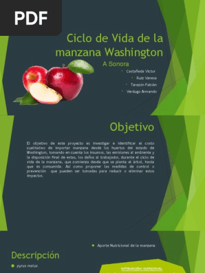 Ciclo De Vida De Una Actividad De Manzana