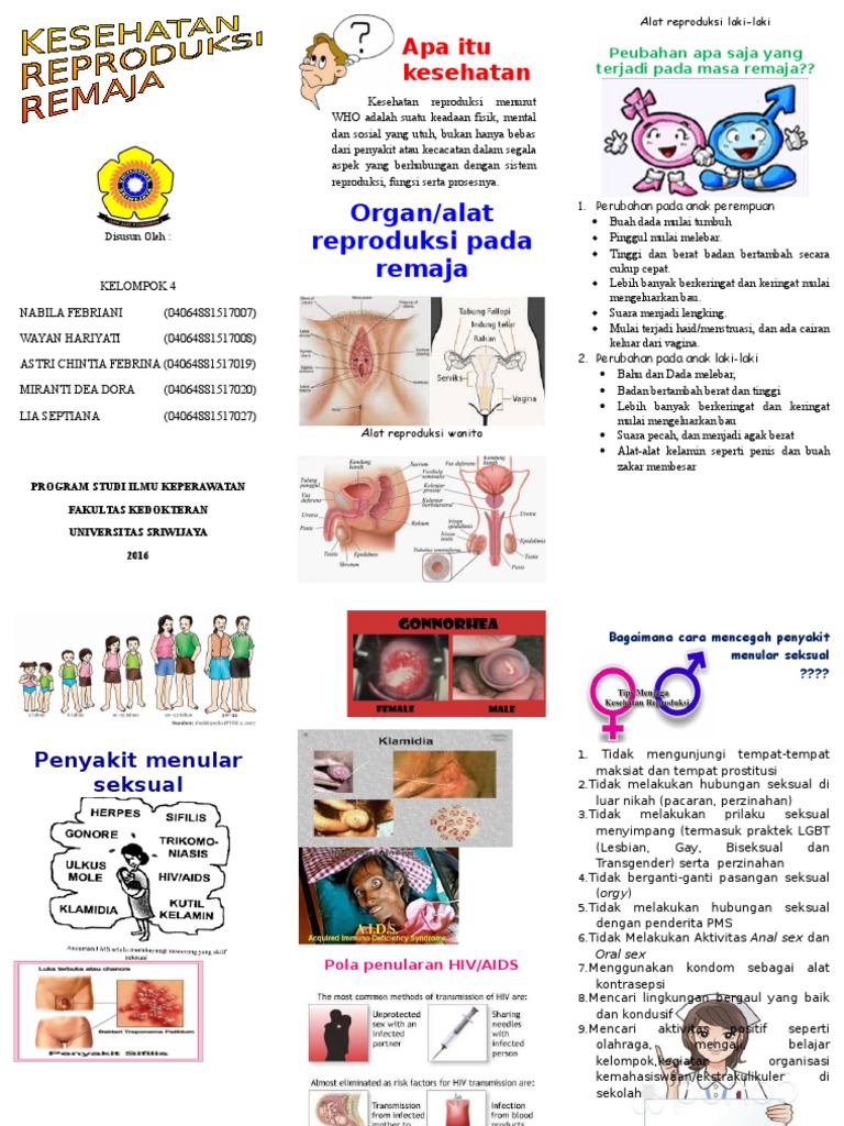 Leaflet Kesehatan Reproduksi | PDF