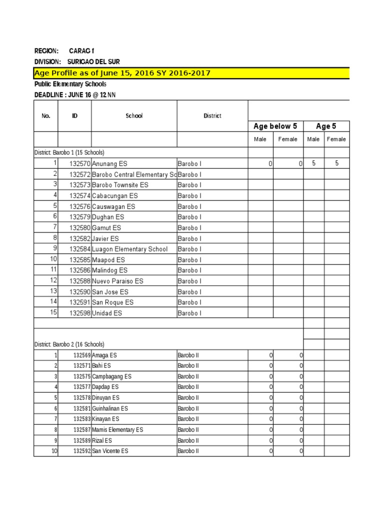 Age Profile 2016 2017 Template | PDF