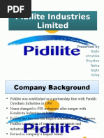 Pidilite Case Study | PDF | Adhesive | Brand