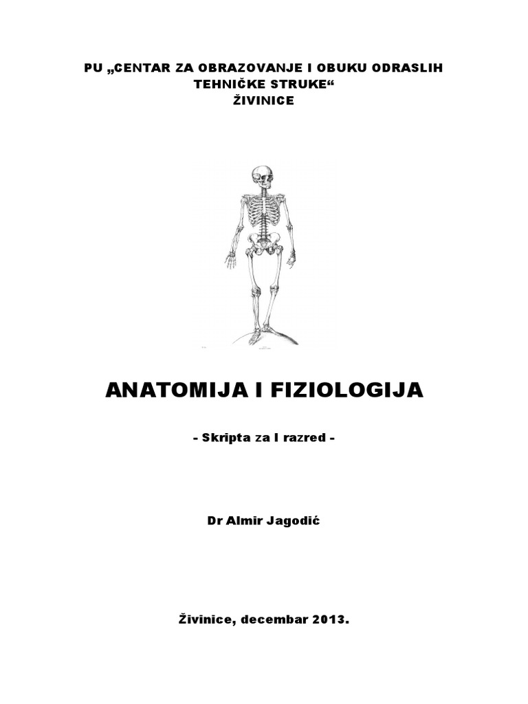 Skripta Iz Anatomije | PDF