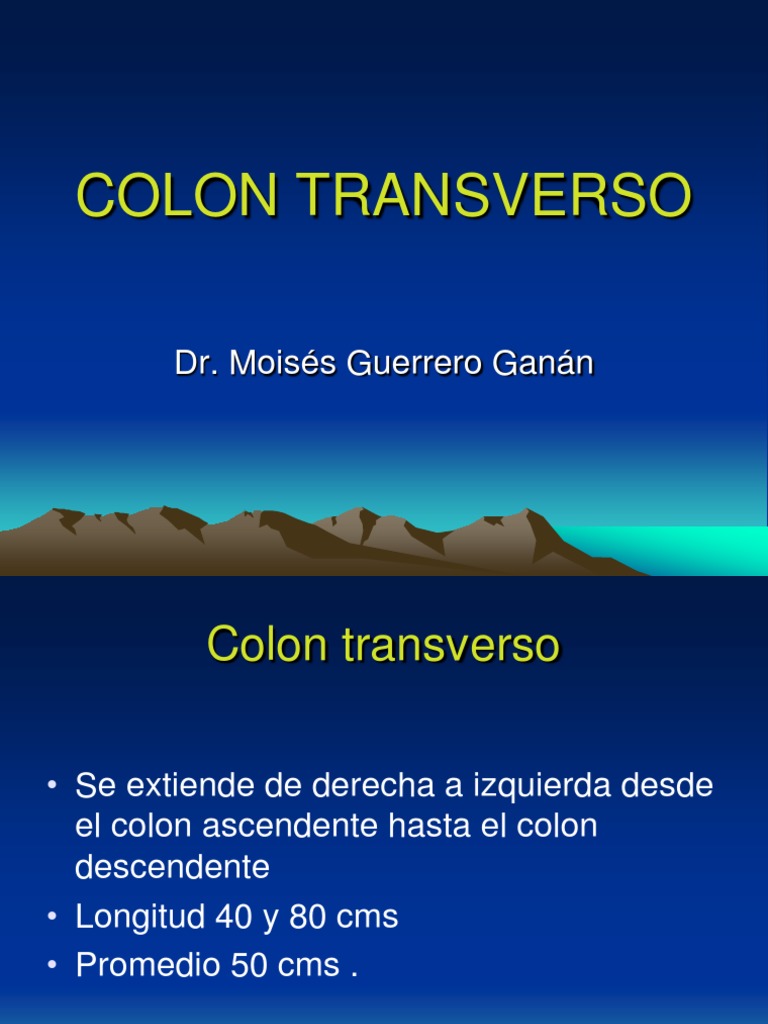 Anatomía del Colon Transverso y Sigmoideo | PDF | Intestino grueso | Pelvis