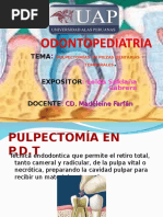 Protocolo Pulpotomia | PDF