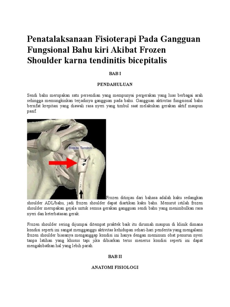 Penatalaksanaan Fisioterapi Pada Gangguan Fungsional Bahu Kiri Akibat ...