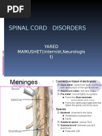 Tenderness Grading PDF | PDF | Medical Specialties | Musculoskeletal System