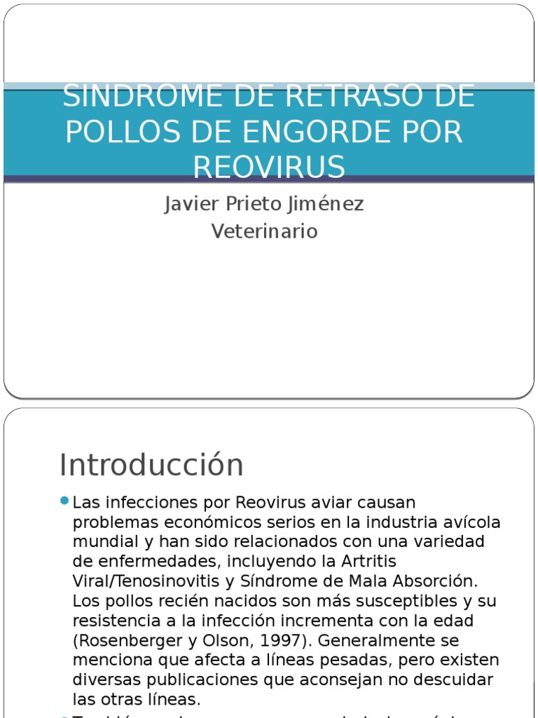 Síndrome de Retraso por Reovirus Aviar | PDF | Virus | Medicina CLINICA