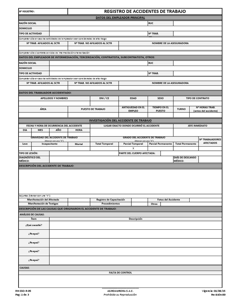 Registro de Accidente e Incidentes de Trabajo (1).pdf | Outsourcing ...