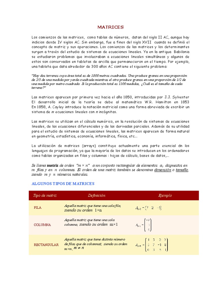 Matrices Teoria | PDF | Matriz (Matemáticas) | Determinante