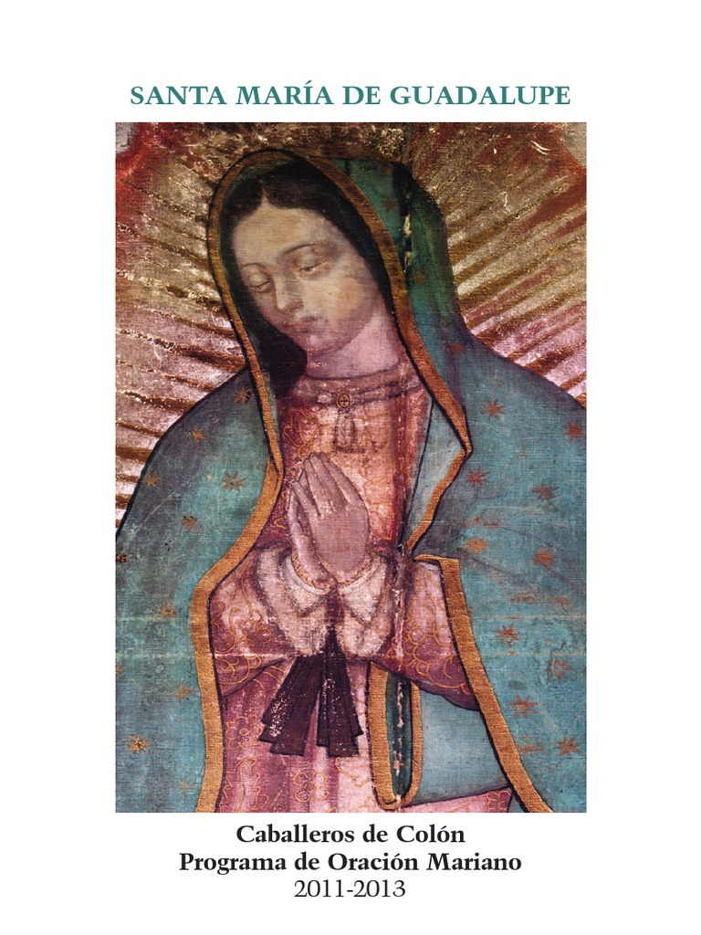 Virgen de Guadalupe: Madre y Mensaje | PDF | María, madre de Jesús ...