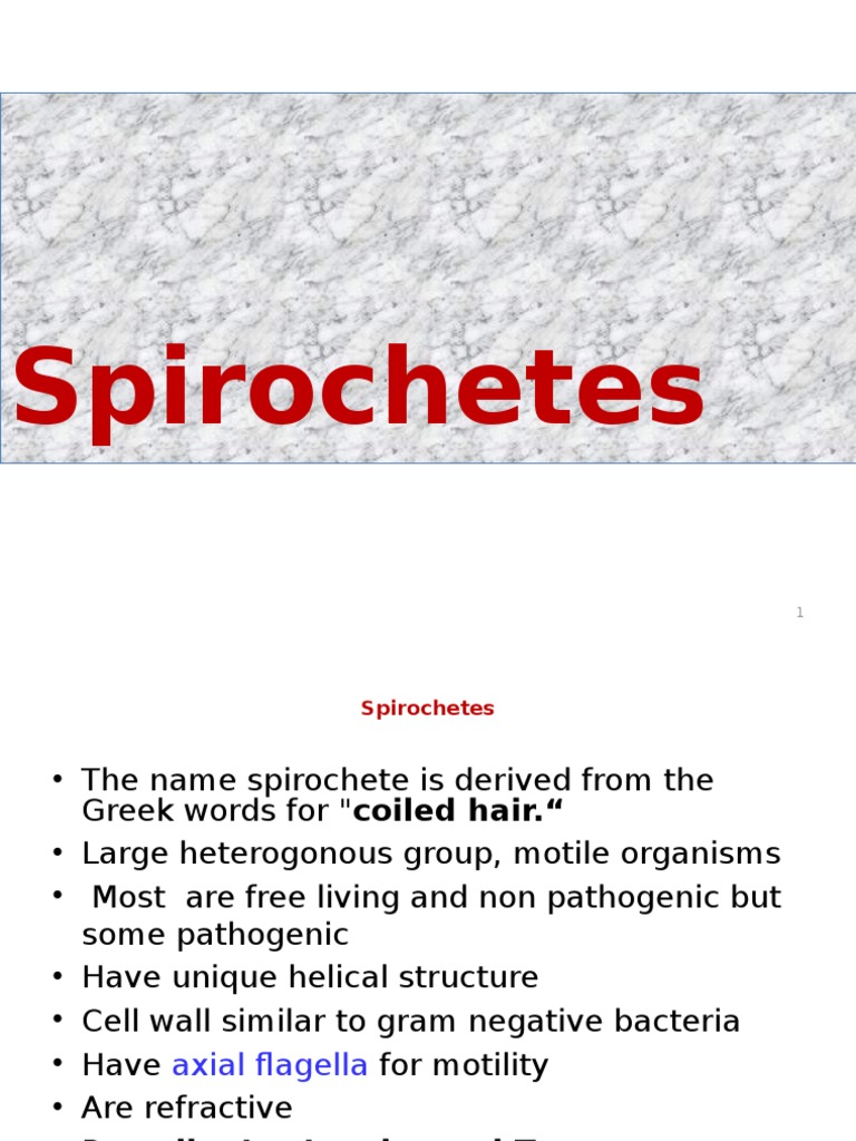 Spirochetes Gram Stain