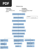 Appendicitis Pathway and Risks | PDF | Inflammation | Medical Specialties