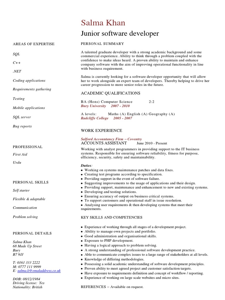 Junior Software Developer | PDF | Software Development | Programmer