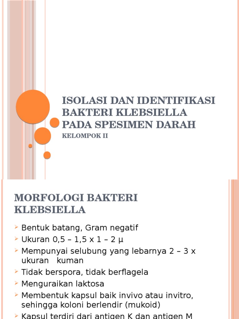 Identifikasi Dan Isolasi Bakteri Klebsiella Pada Spesimen Darah | PDF