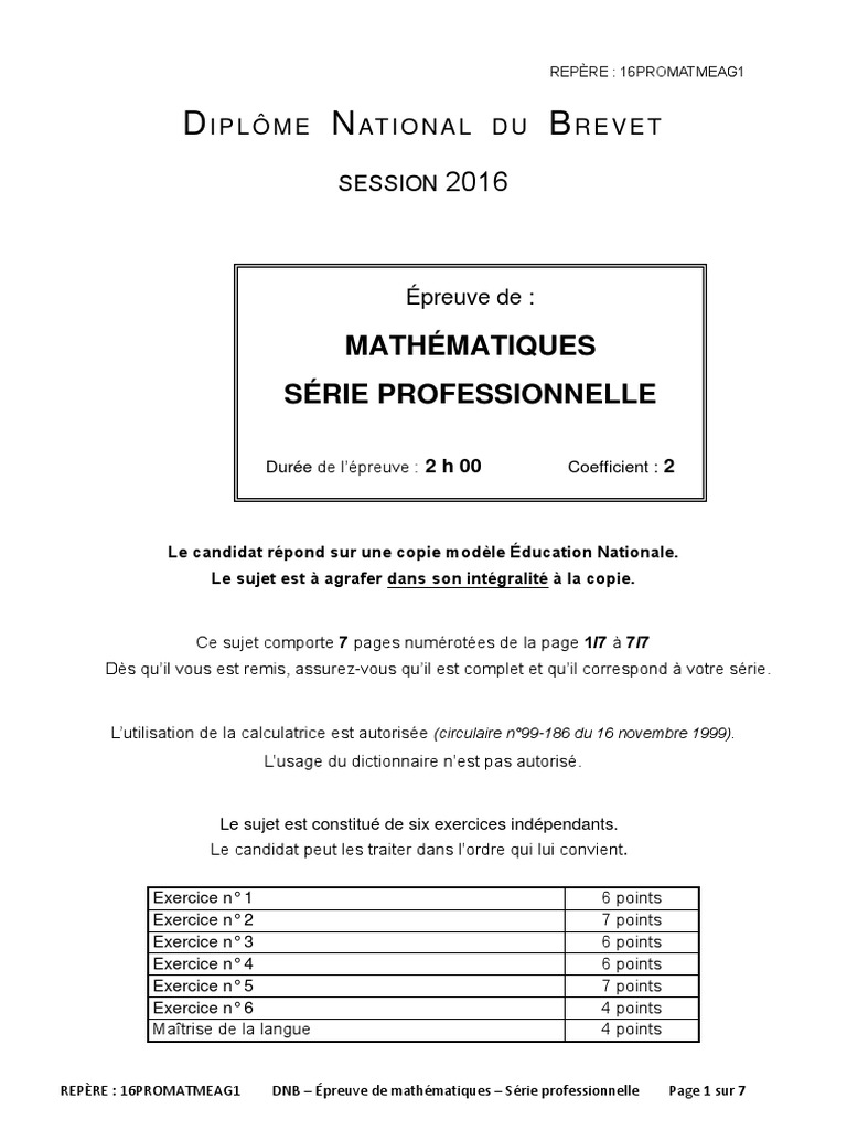 DNB Pro Maths 2016 - Sujet d'Épreuve | PDF