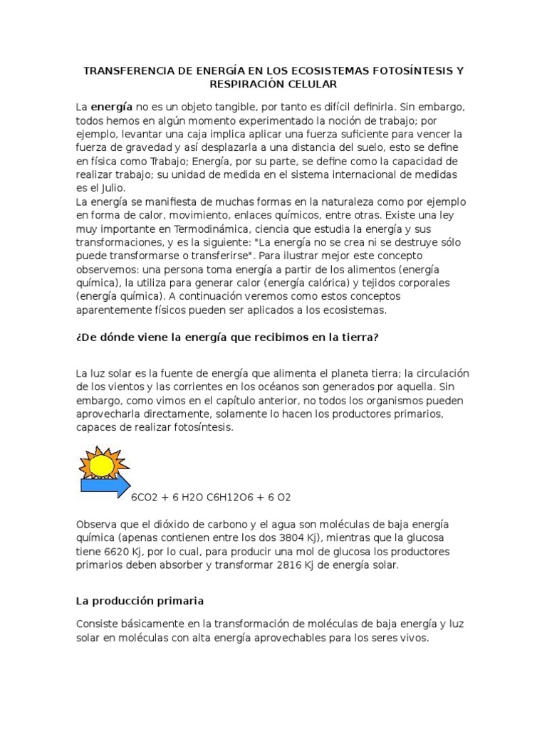 Hoja De Trabajo Sobre Transferencia De Energía En Los Ecosistemas LA