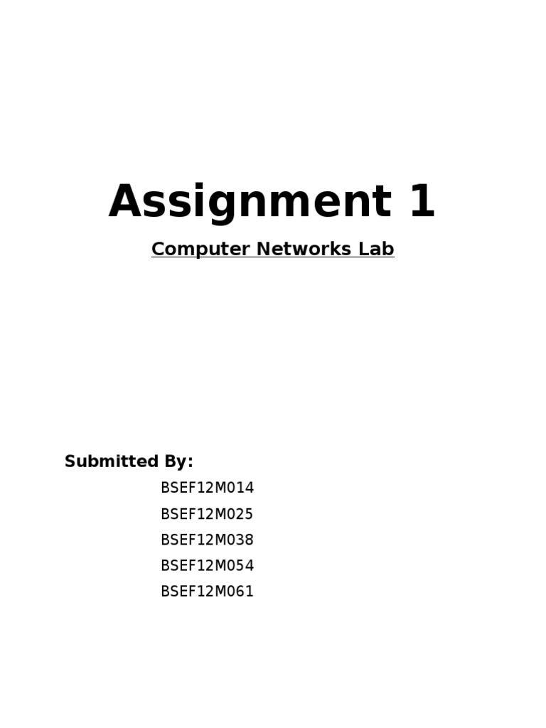 Assignment 1: Computer Networks Lab | PDF | Osi Model | Internet Protocols