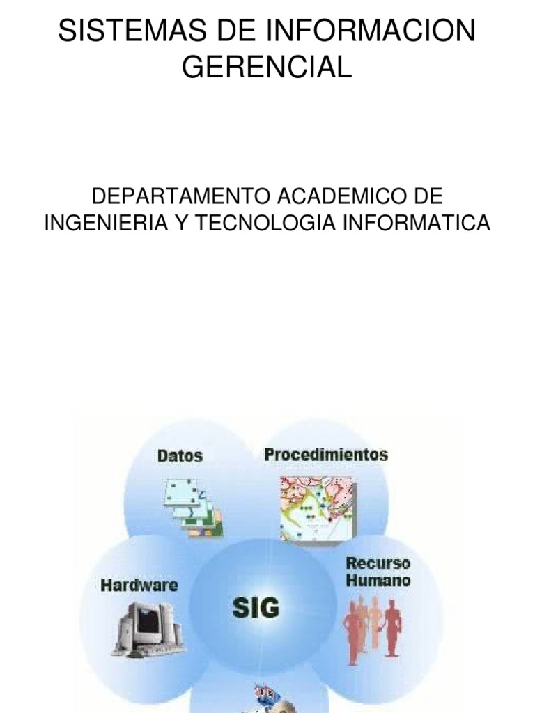 Sistemas de Informacion General Intro 1 | PDF