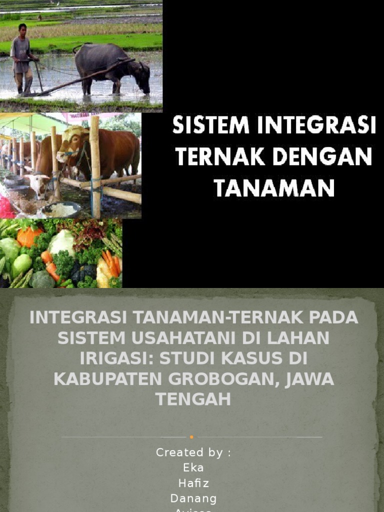 Integrasi Tanaman-Ternak Pada Sistem Usahatani Di Lahan Irigasi | PDF