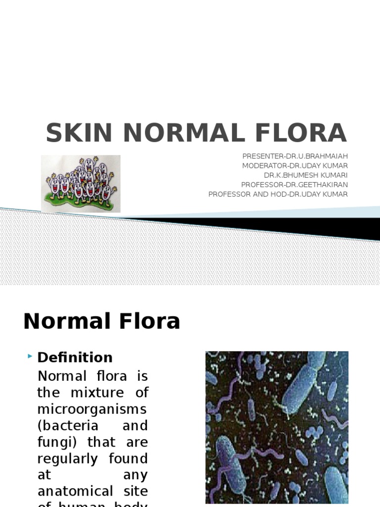 Skin Normal Flora | Staphylococcus | Streptococcus