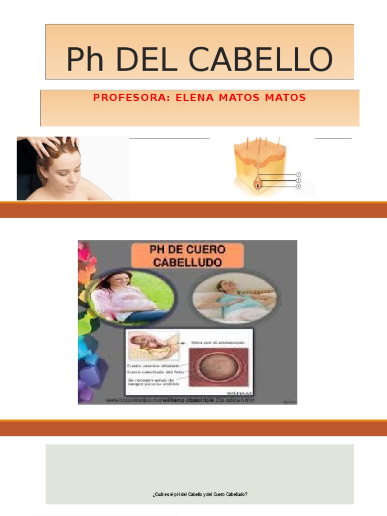 PH Del Cabello | PDF