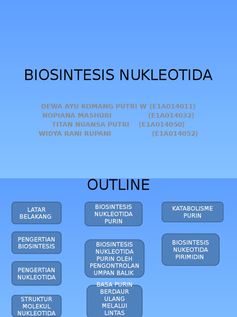Biosintesis Nukleotida | PDF