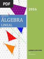 Álgebra Lineal - Larson | PDF