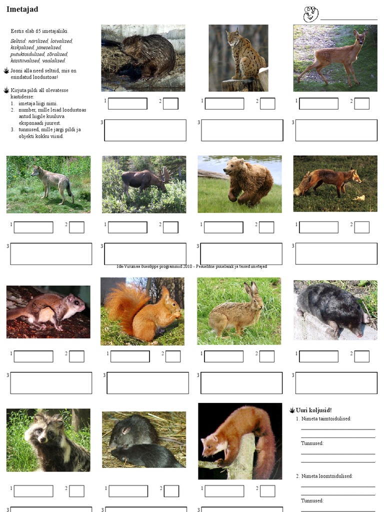 Imetajad | PDF