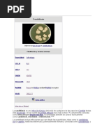 Flevomax 500mg Prospecto | PDF | Amamantamiento | El embarazo