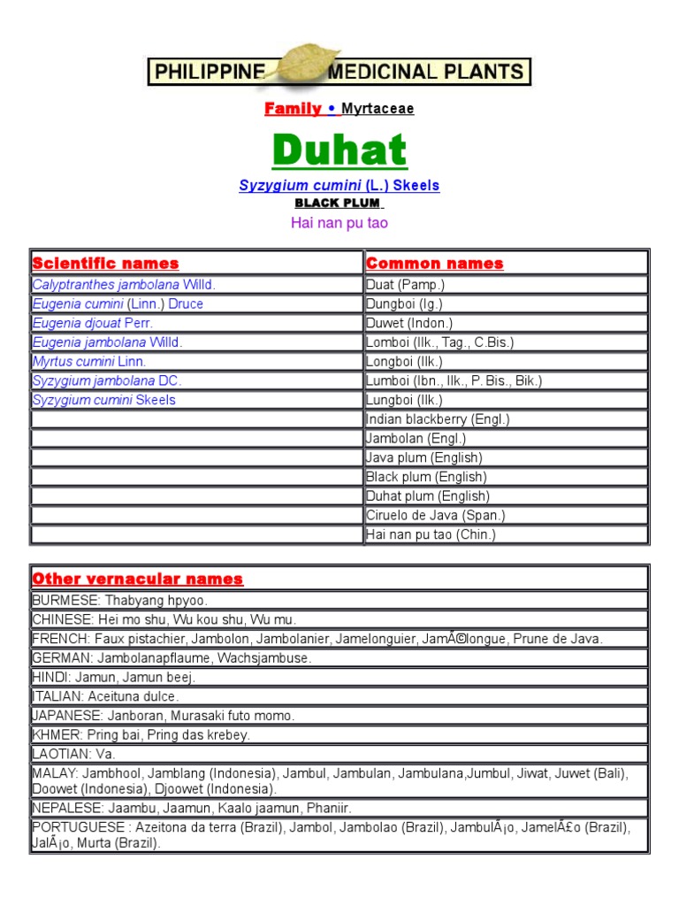 Duhat: Family | PDF | Phenolic Content In Wine | Antioxidant