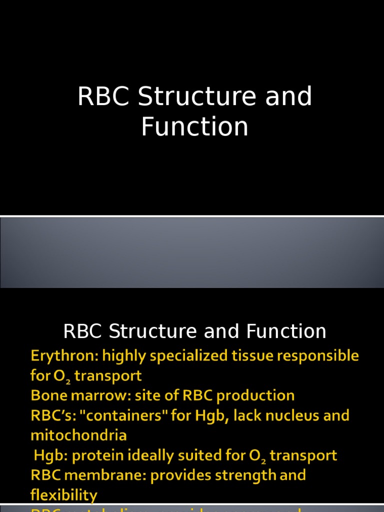 RBC Structure and Function Overview | PDF | Red Blood Cell | Anemia