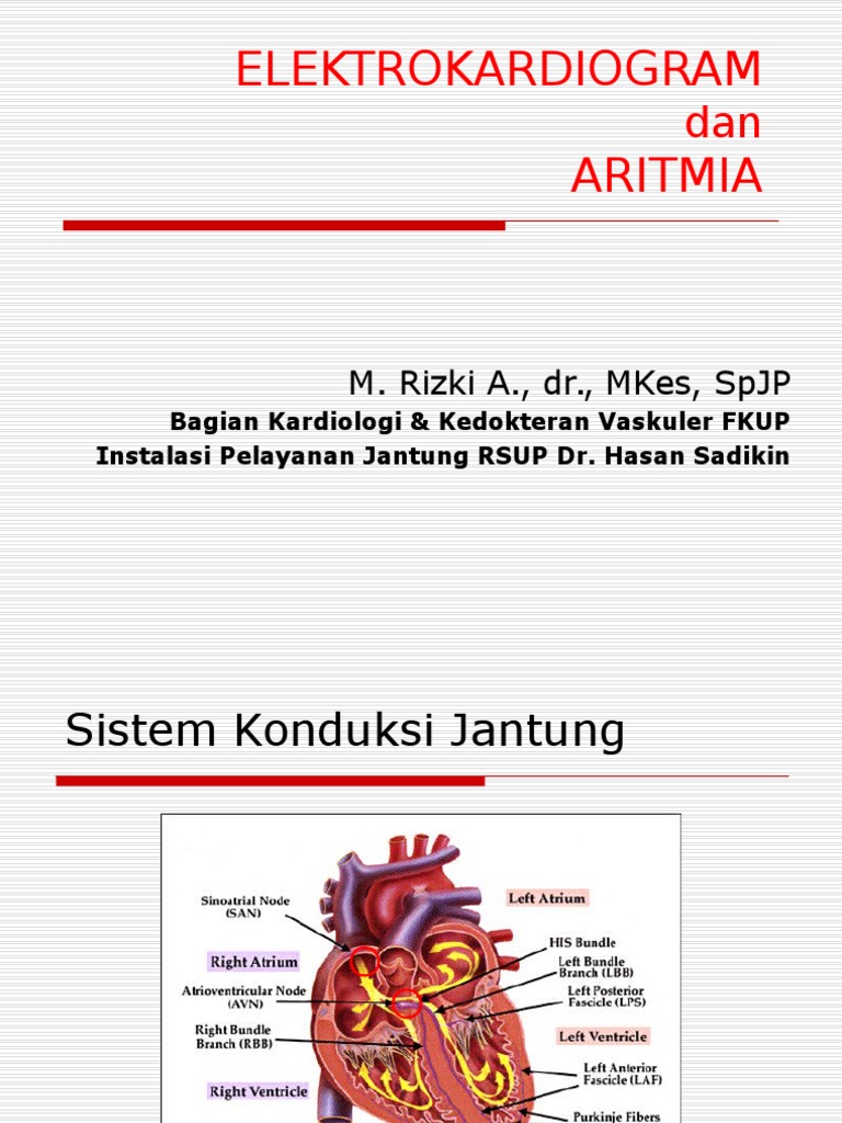EKG Dan Aritmia | PDF
