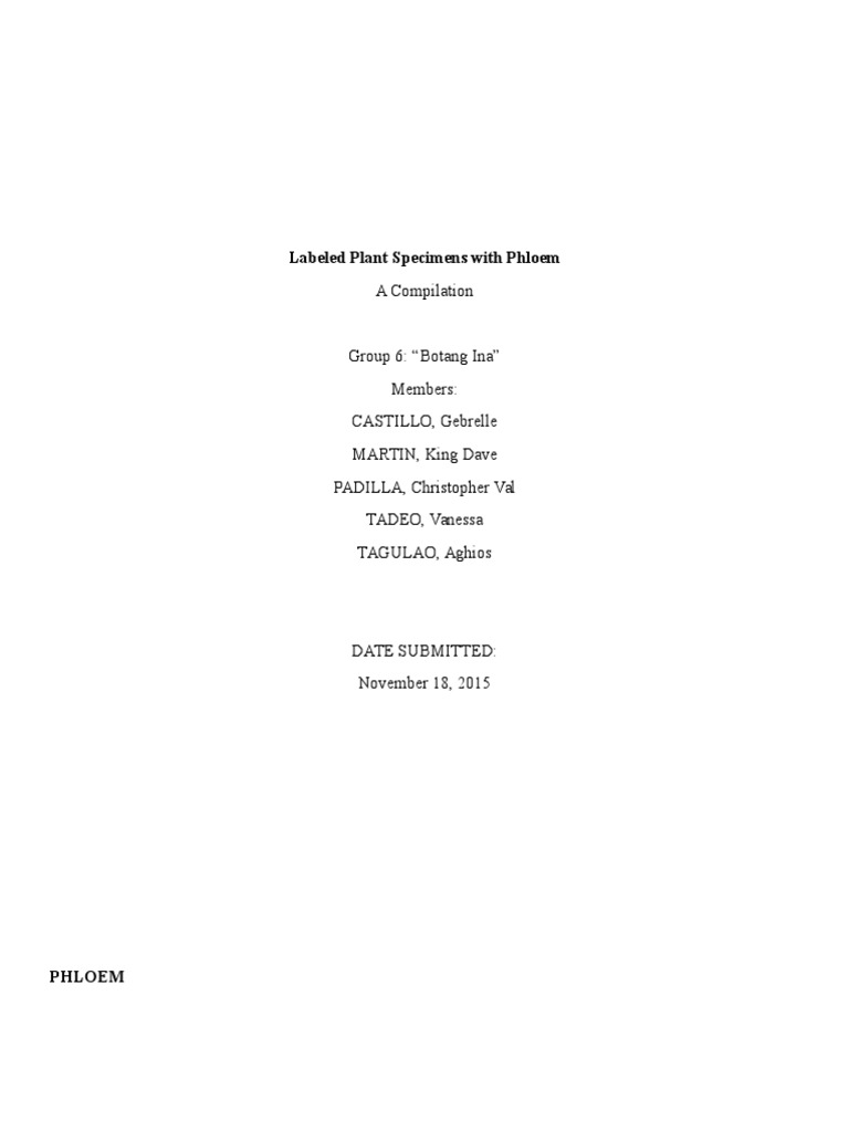 Labeled Phloem Plant Specimens | PDF