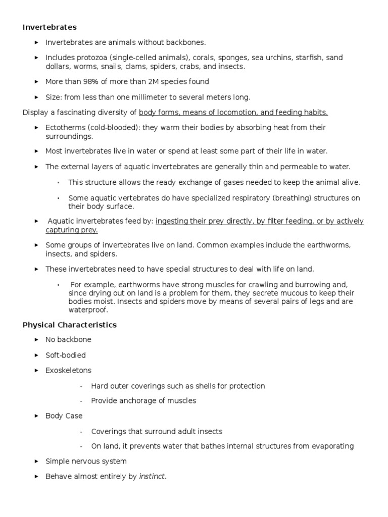 Invertebrates | PDF | Sponge | Invertebrate