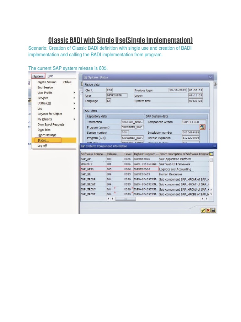 Classic BADI With Single Use | PDF | Method (Computer Programming ...