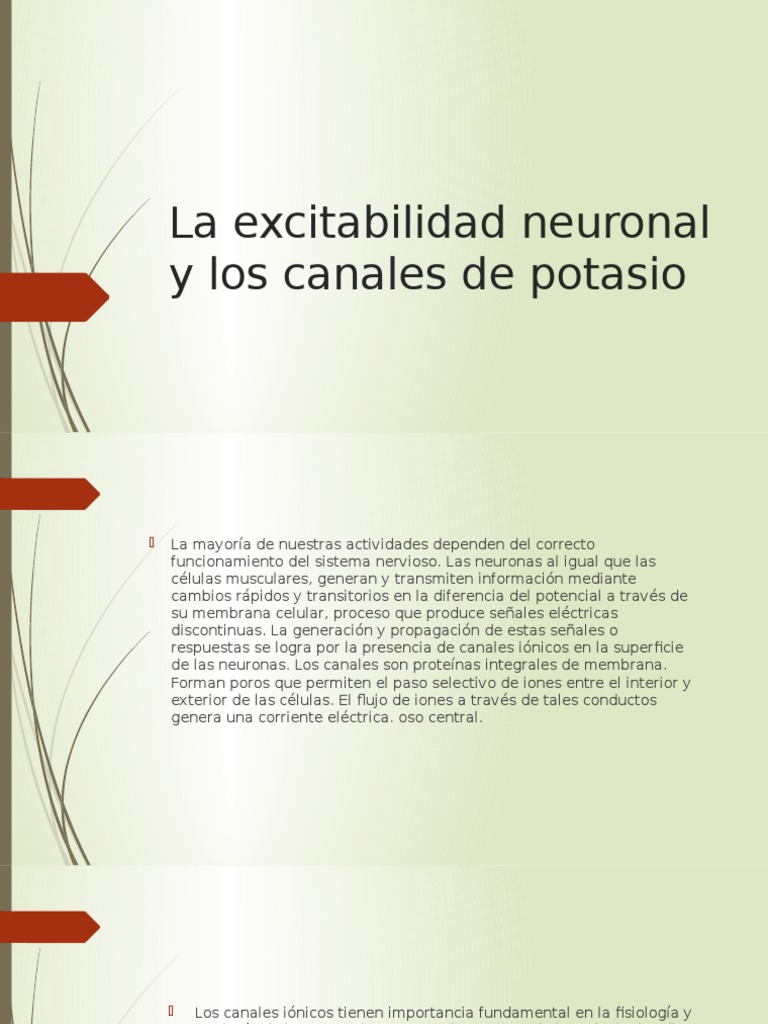 Excitabilidad Neuronal y Canales de K+ | PDF | Canal de iones | Neurona